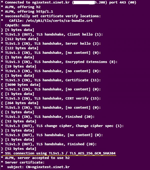 실제 서버의 로그 상태를 봐도 tls 1.3 을 사용한것을 확인 할 수 있다